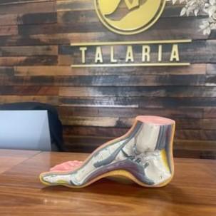 Be the first to review “Talaria Podiatrist of Thornbury” Cancel reply